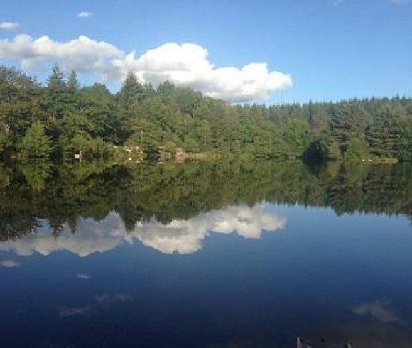 Carp Fishing in France with Accommodation - Dream Carp Holidays