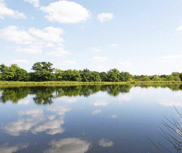 Exclusive Drive and Survive Carp Fishing in France - Dream Carp Holidays